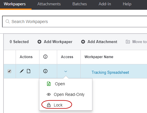 Lock a Workpaper